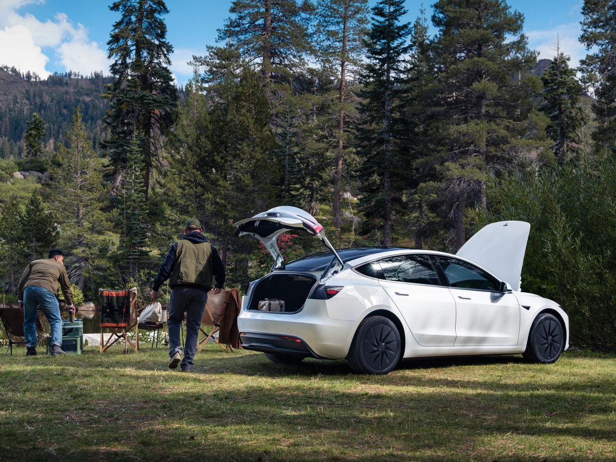 Tesla Rolls Out New ‘Standard’ Model 3 and Model Y in Europe with Eye ...